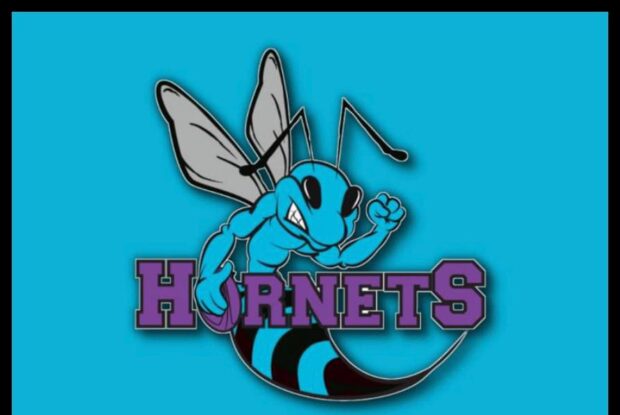 News | Hornets_Touch